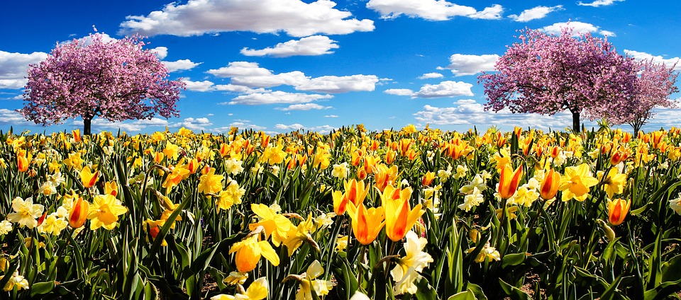 It’s a scientific fact – Spring is the best season! | Soles In Motion